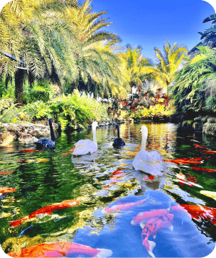 Farm Products for Sale | Trees, Food & Animals - By Brothers Miami